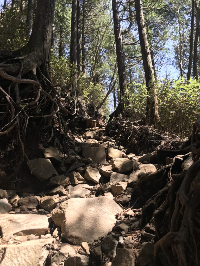 Top 6 Must Hiking Trails in Hakone | Articles by K's House Hostels